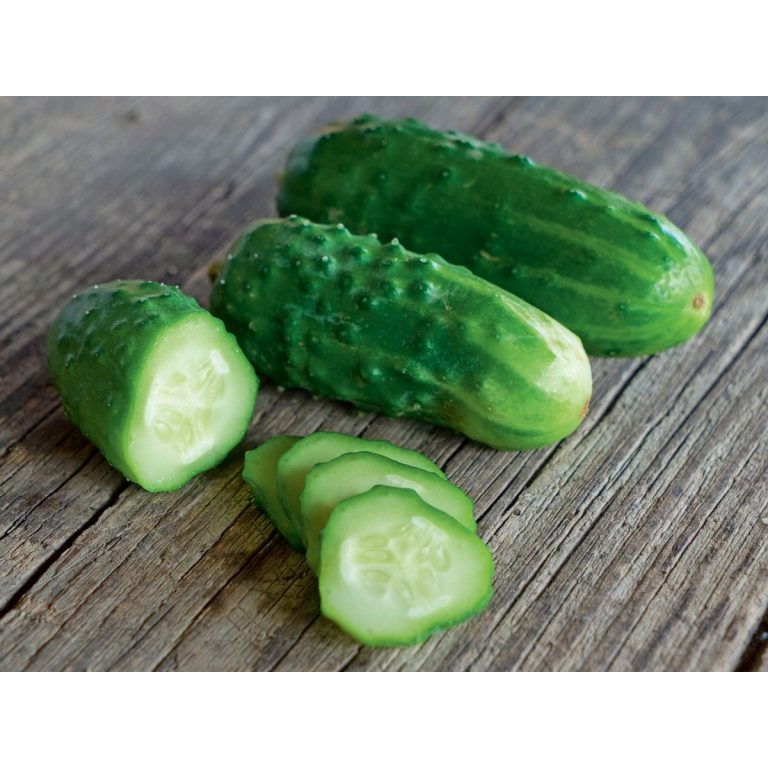 Agurk Liefje Økologisk og Biodynamiske | Gartnerbutikken